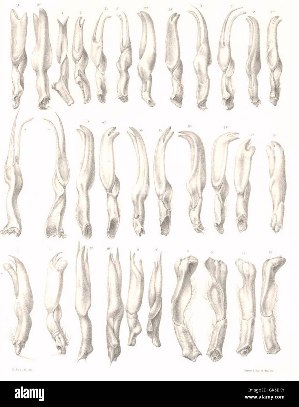 Abdominal page hi-res stock photography and images - Alamy