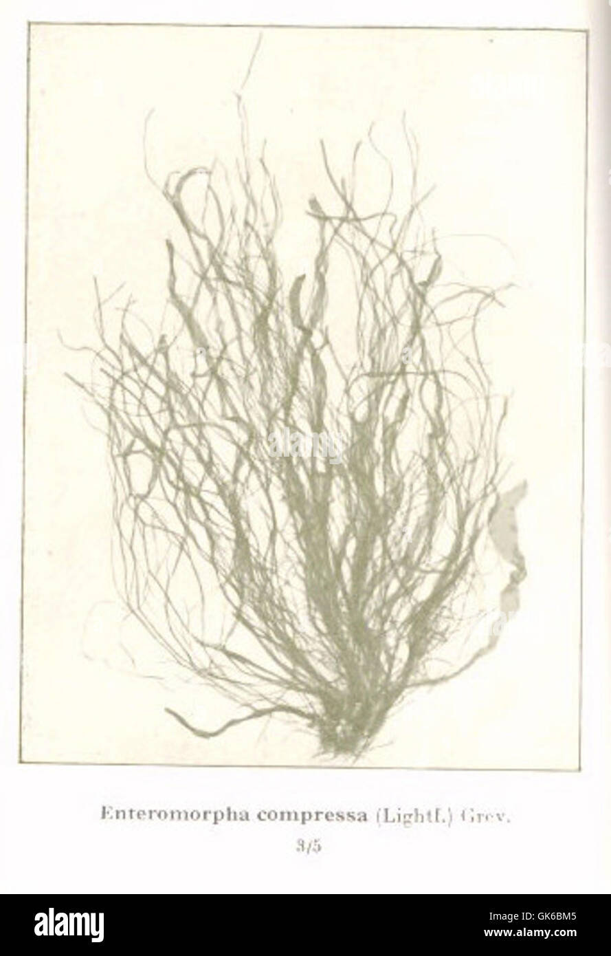 53522 hi-res stock photography and images - Alamy