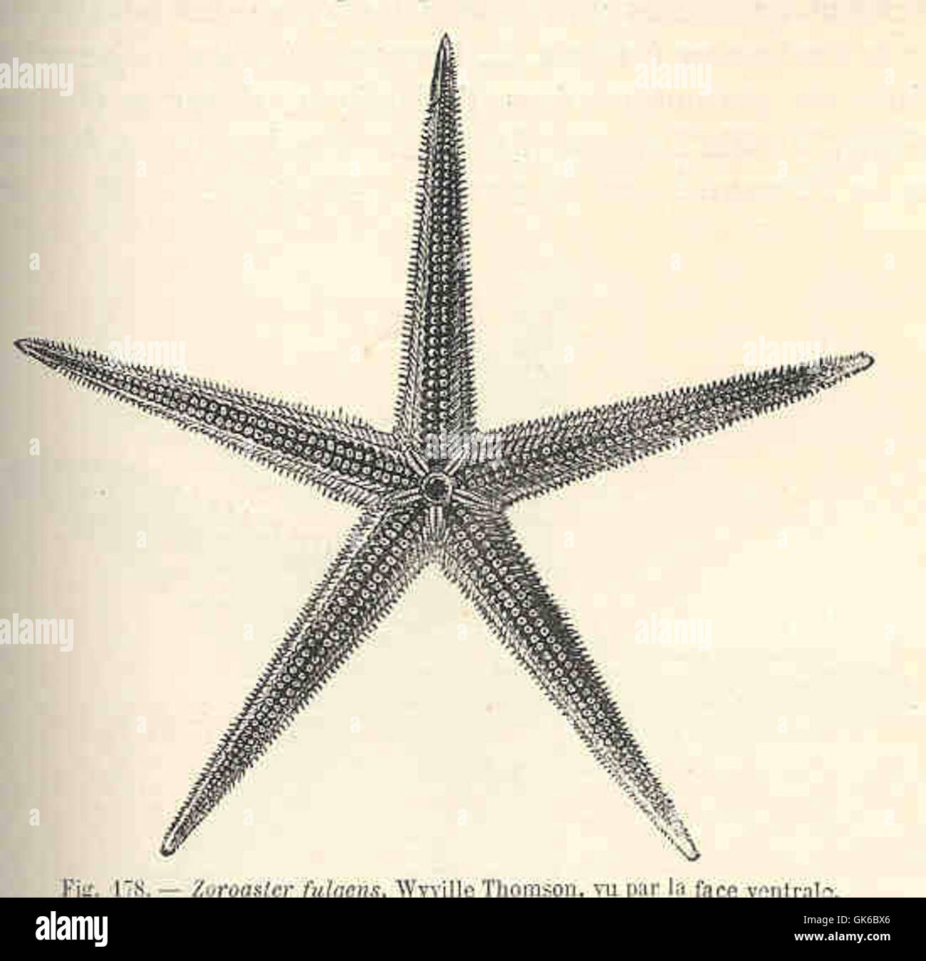 Zoroaster hi-res stock photography and images - Alamy