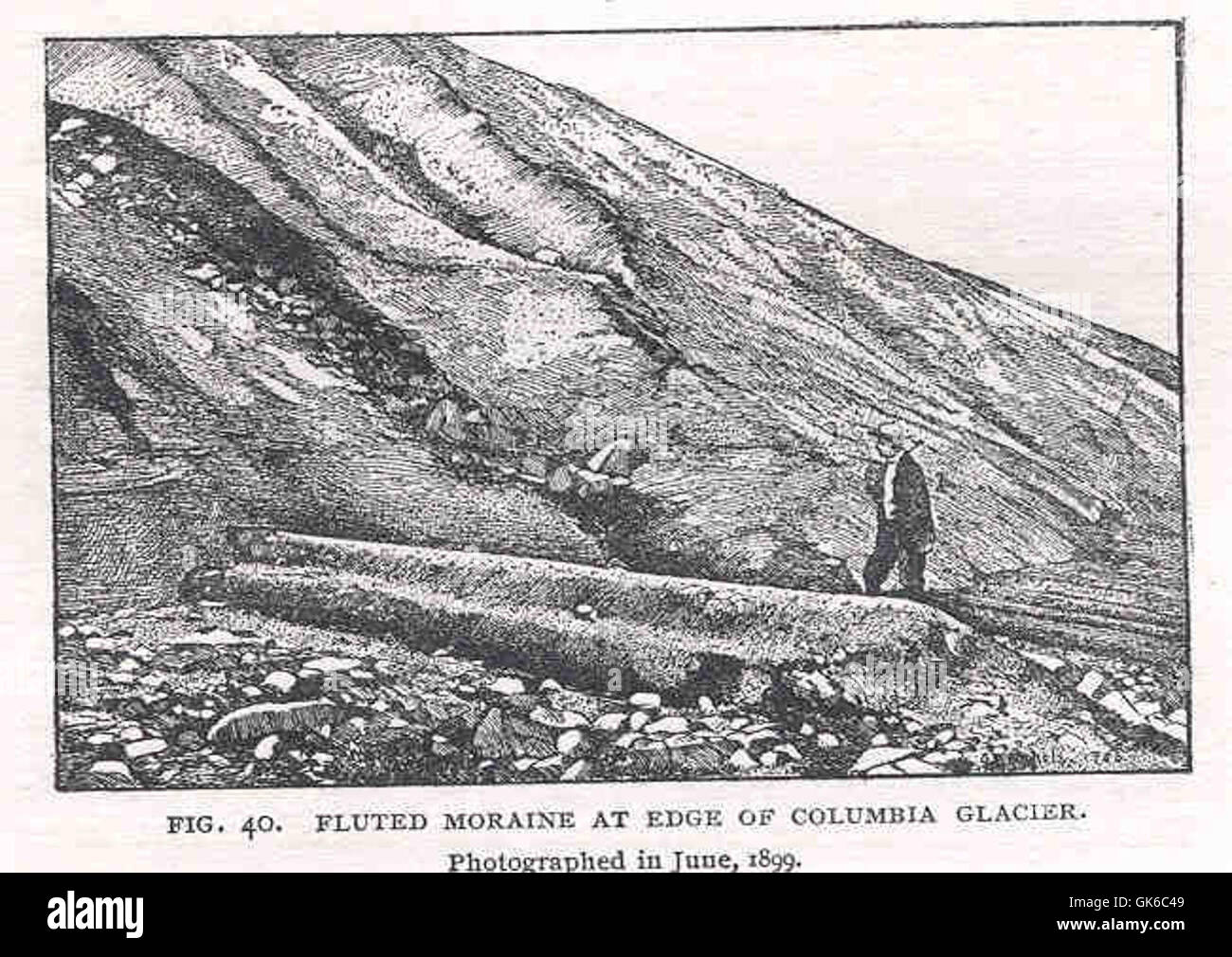 The fluted moraine at the edge of Columbia Glacier is a geological ...