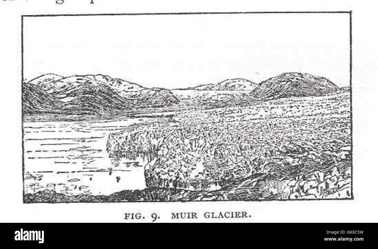 Muir Glacier, located in Glacier Bay, Alaska, is a stunning example of ...