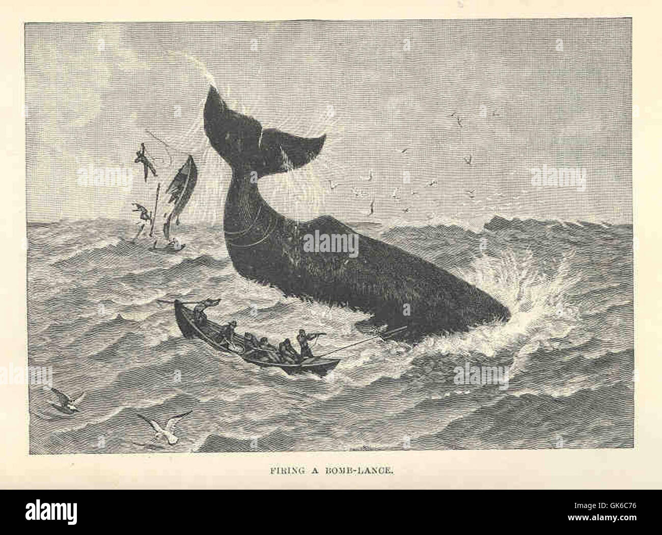 Firing a bomb-lance, a weapon used for hunting large marine animals ...