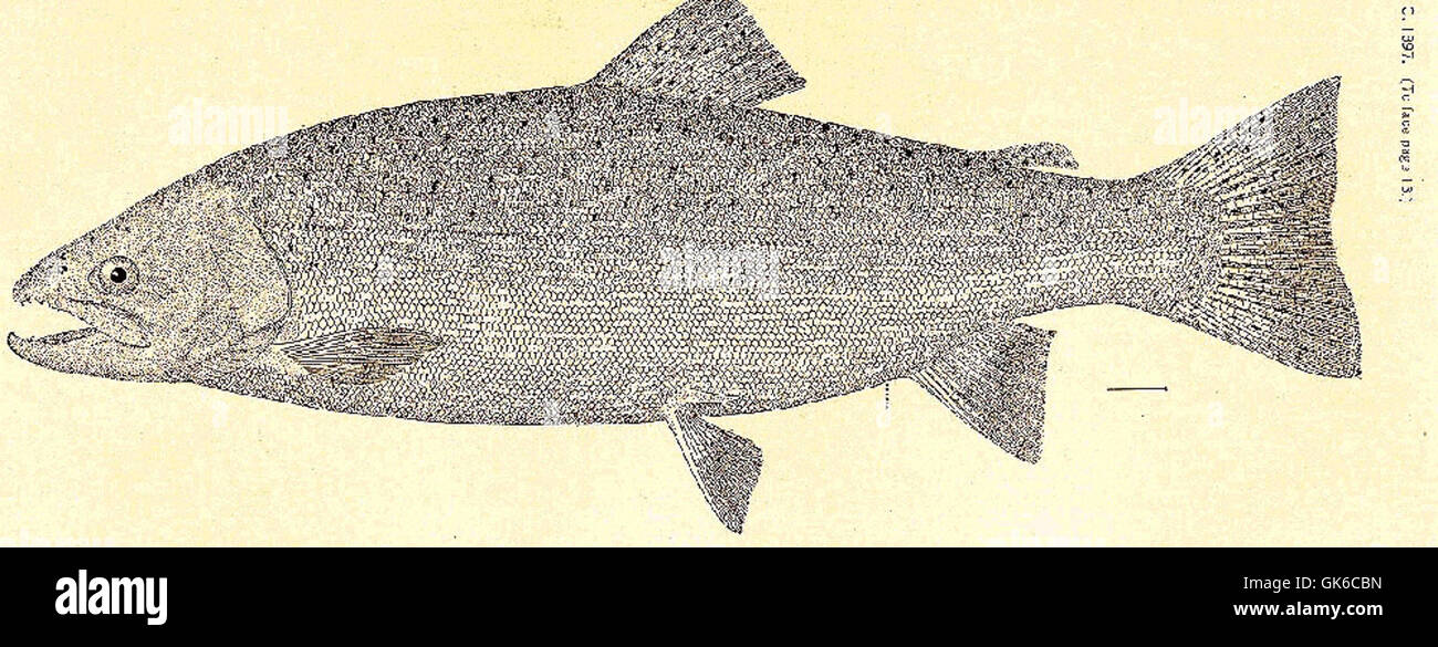 Salmo map hi-res stock photography and images - Alamy