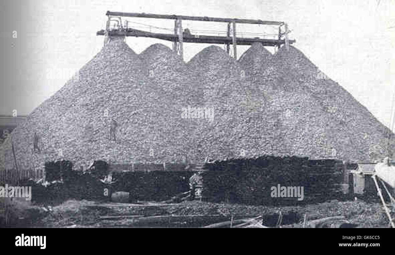 34847 Shell Pile of a Large Oyster Company, Showing Conveyer for ...
