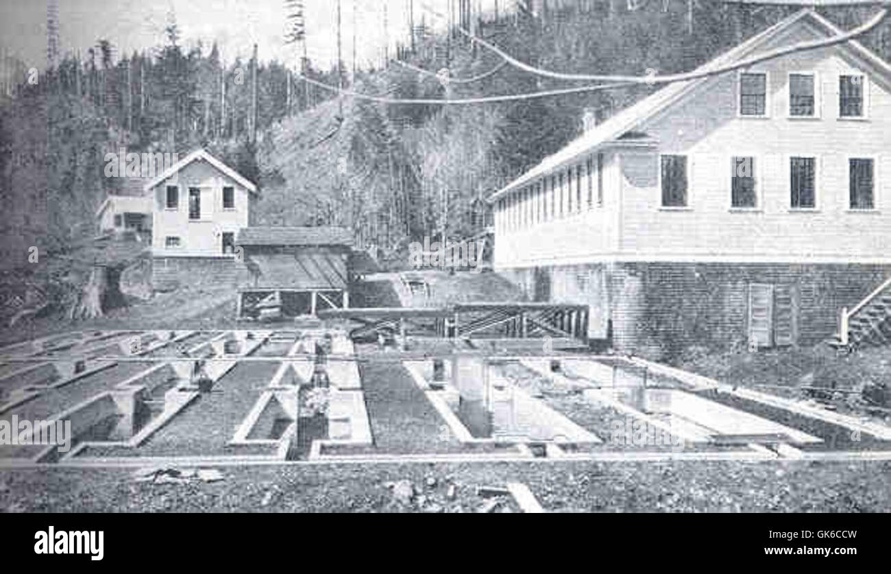 Duckabush Station in Washington is known for its hatchery and feeding ...