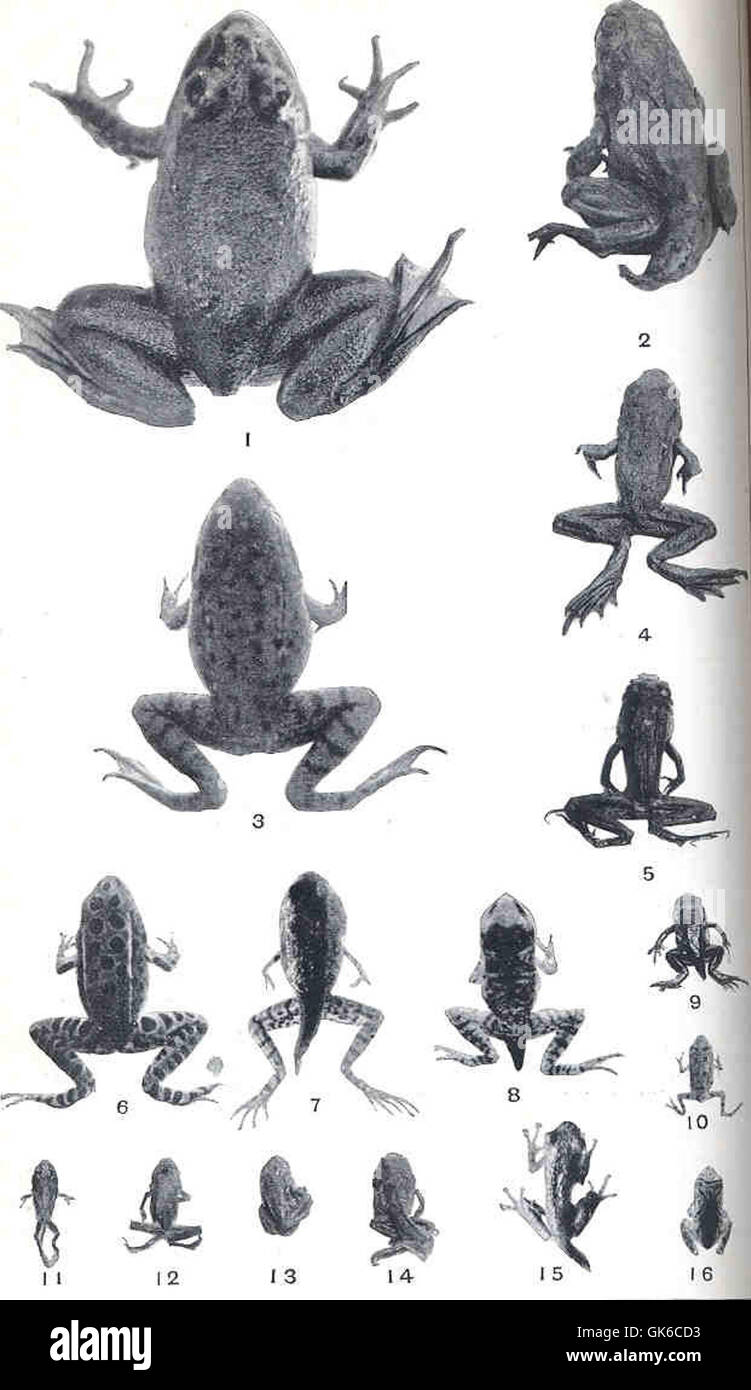 This reference discusses changes in size during the transformation ...