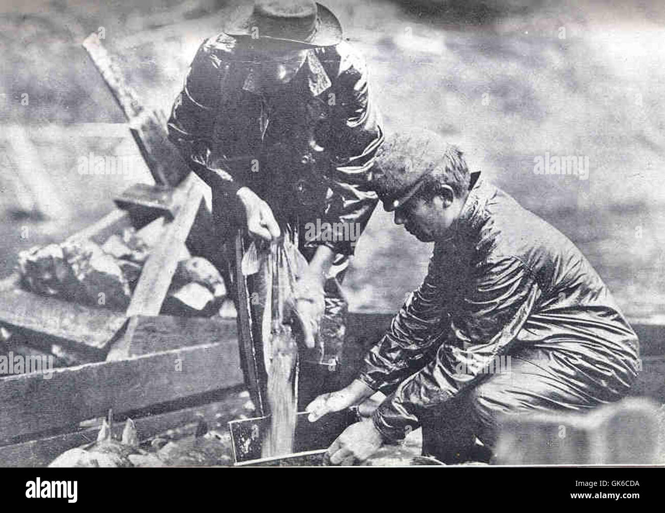 34874 Stripping Female Chinook Salmon, Little White Salmon (Wash ...