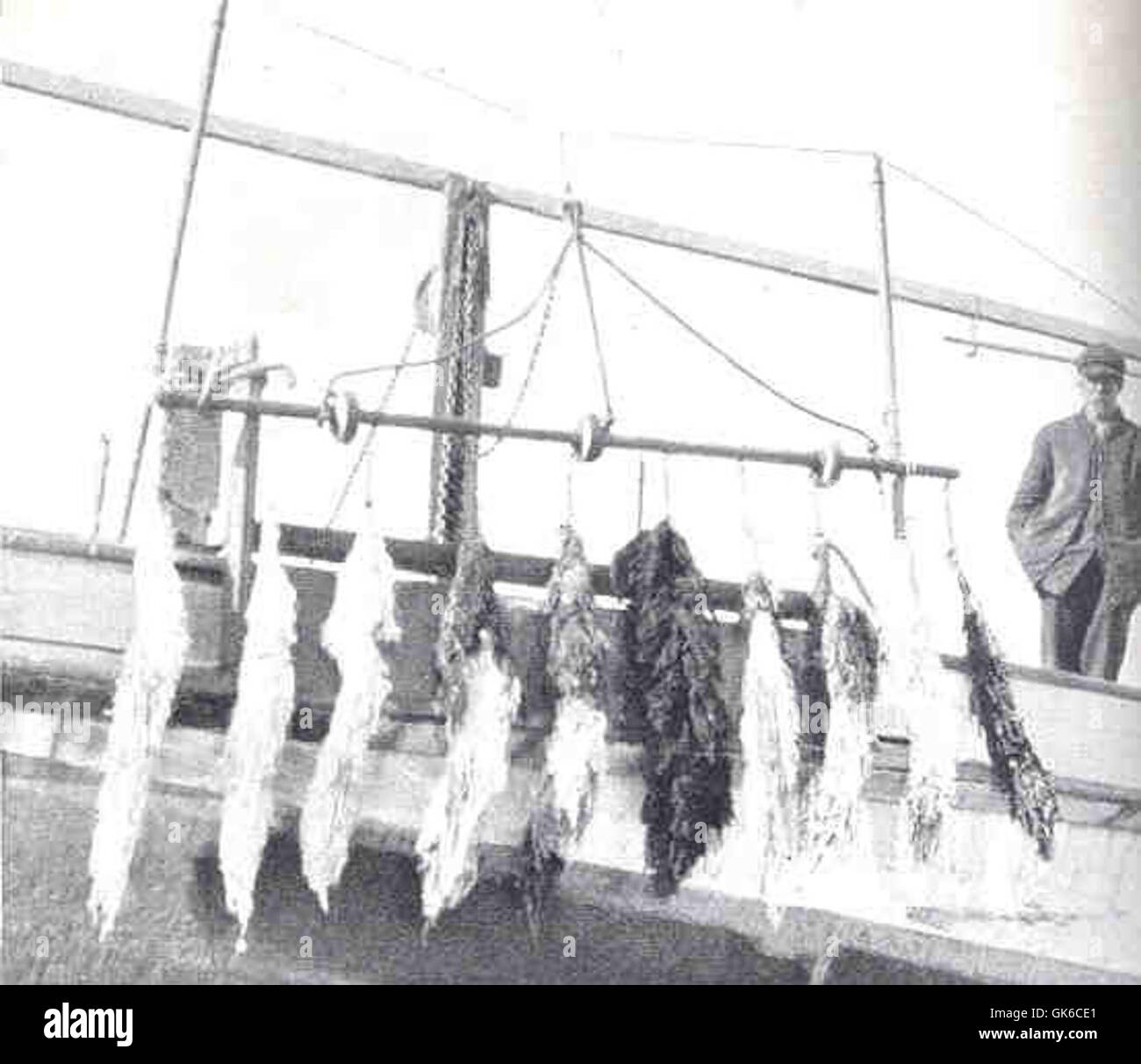 An image showing a 'Star Mop,' a tool traditionally used to exterminate ...
