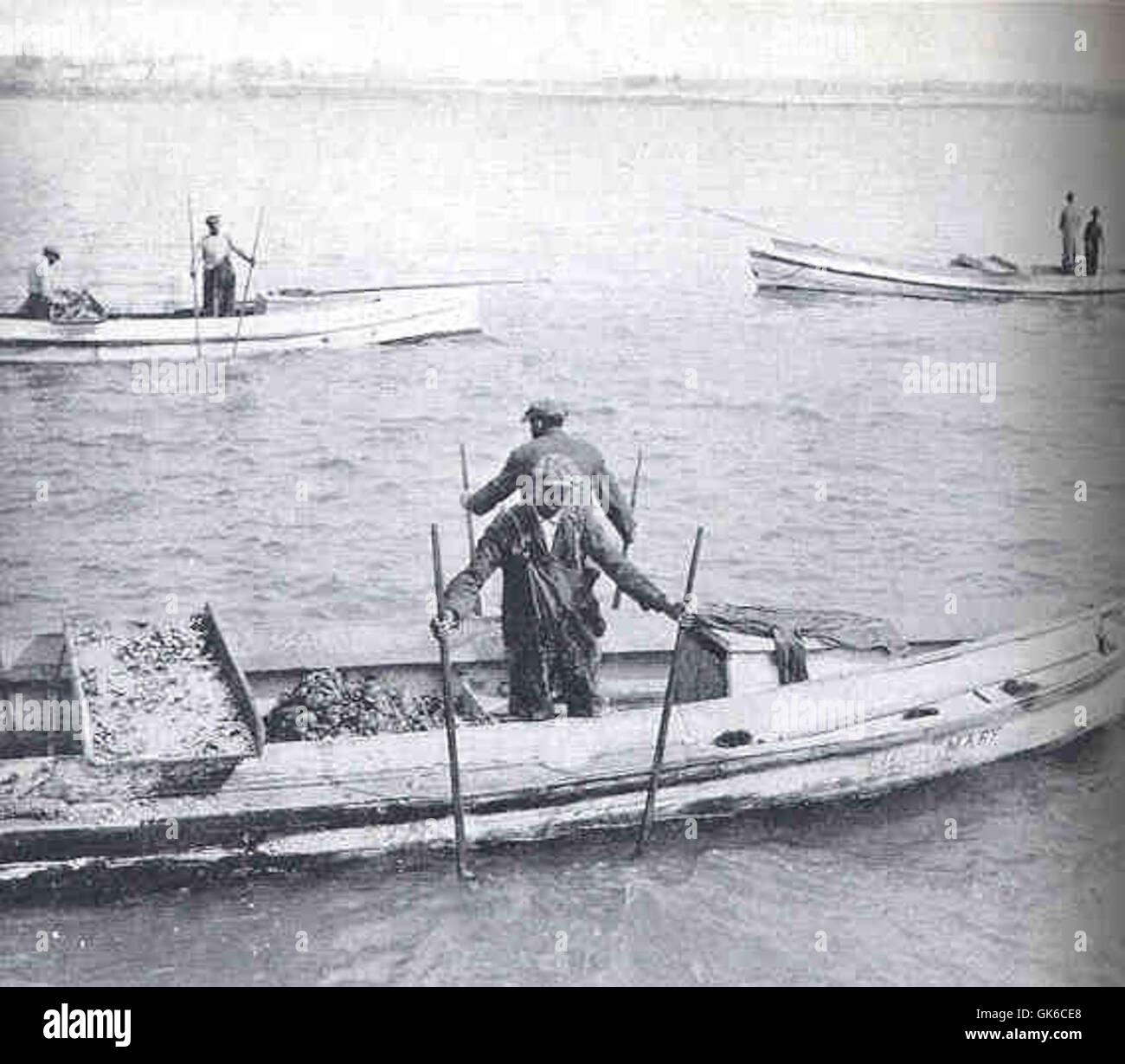 Tonging oysters is a method of harvesting oysters using long-handled ...