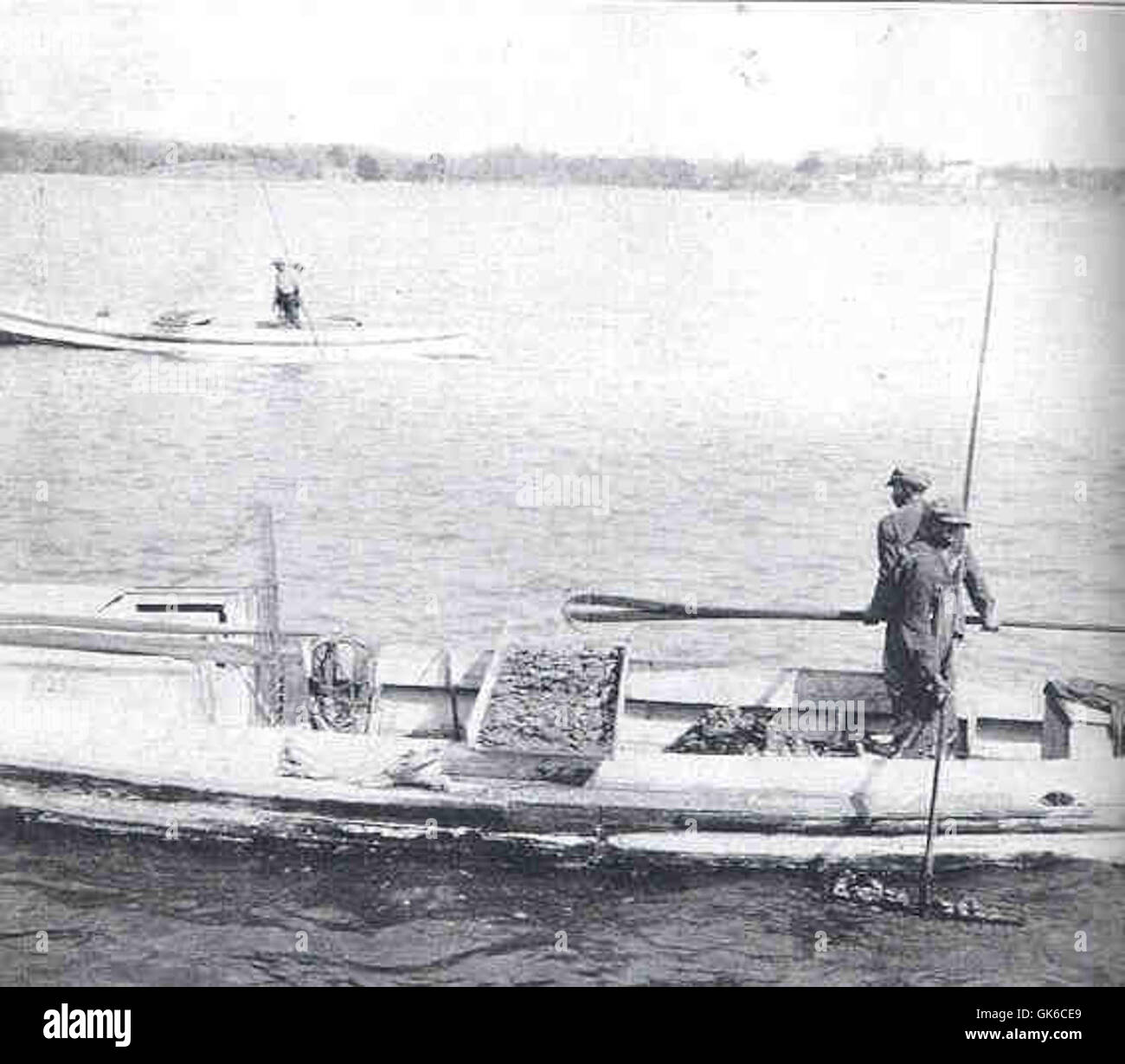 The image shows the process of tonging oysters, a traditional method of ...