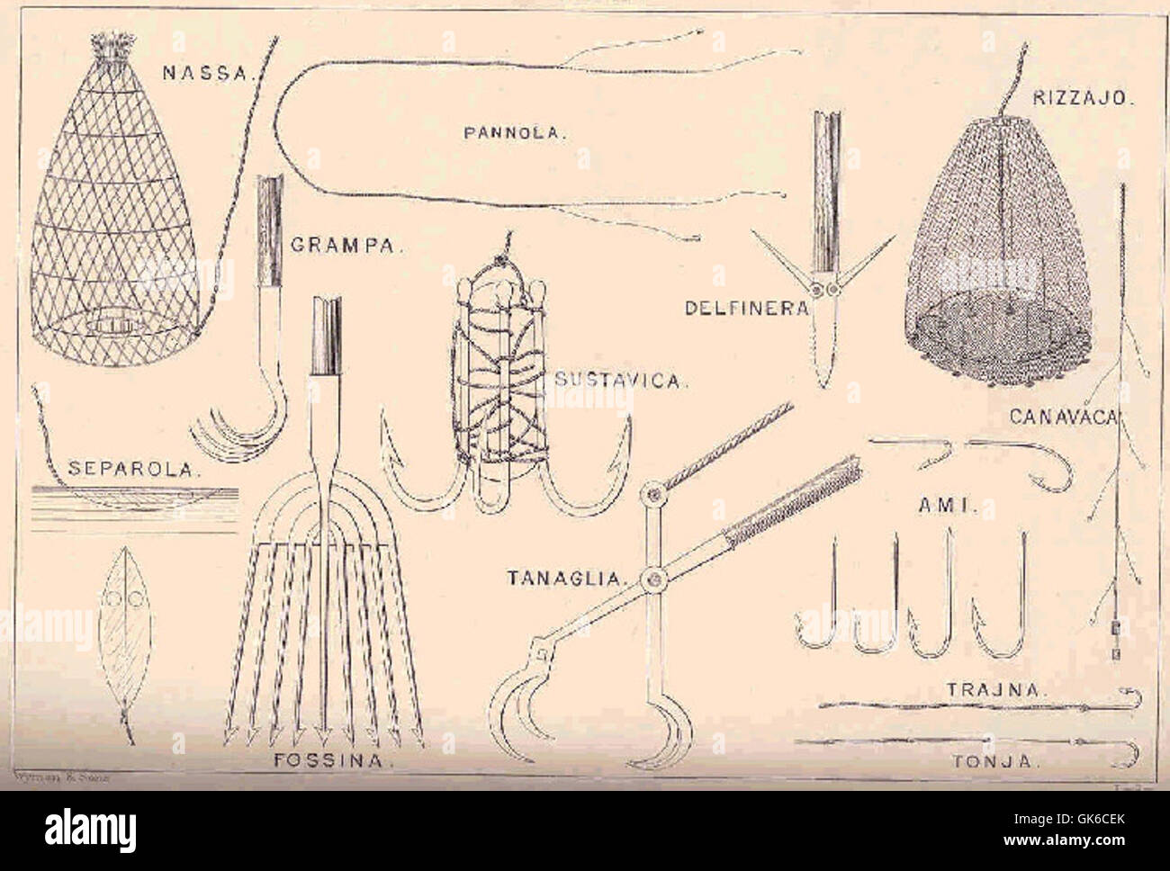 32772 Nassa; Pannola; Rizzajo; Grampa; Sustavica; Delfinera; Canavaca ...