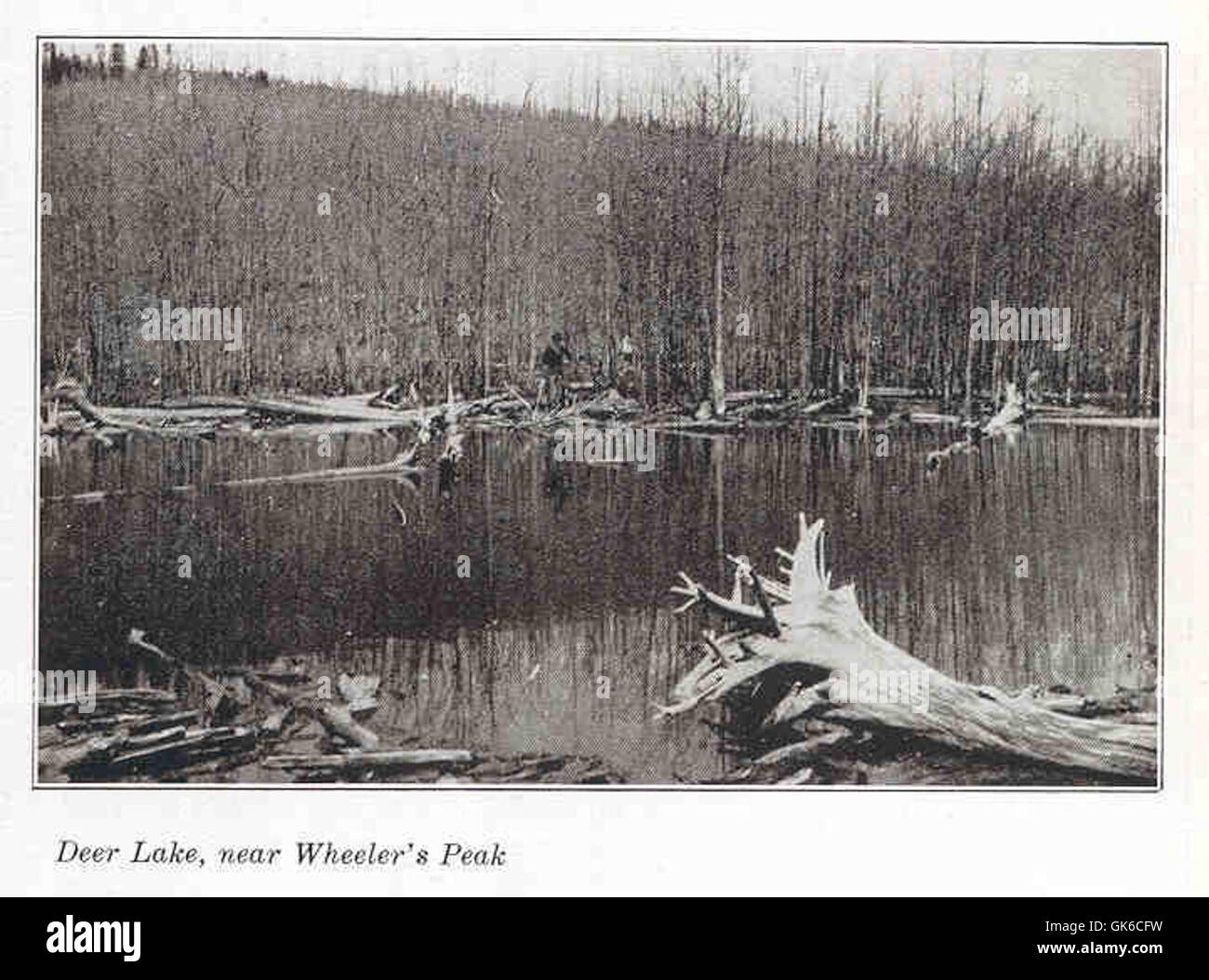 Deer Lake, located near Wheeler's Peak, is a natural water body in a ...