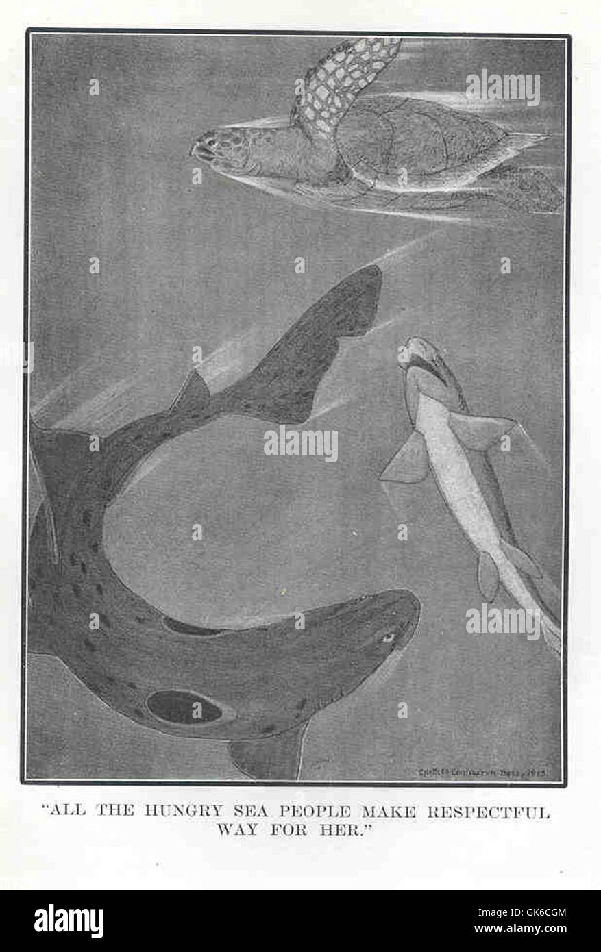 This title refers to a scene where a sea turtle navigates through ocean ...