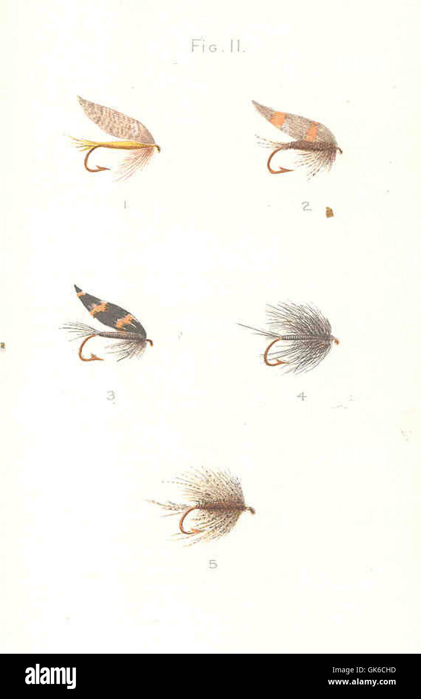 This illustration features a series of artificial flies used in fly ...