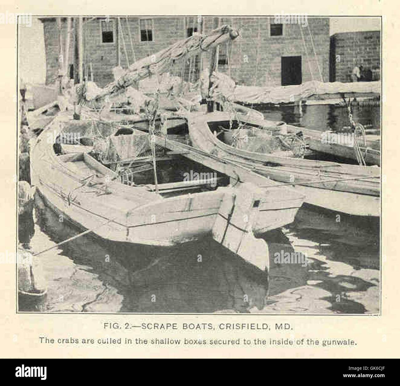 A scene of the scrape boats at Crisfield, Maryland, used for dredging ...