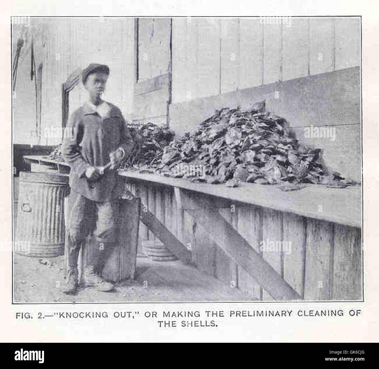 This image shows the process of cleaning shells, commonly known as ...