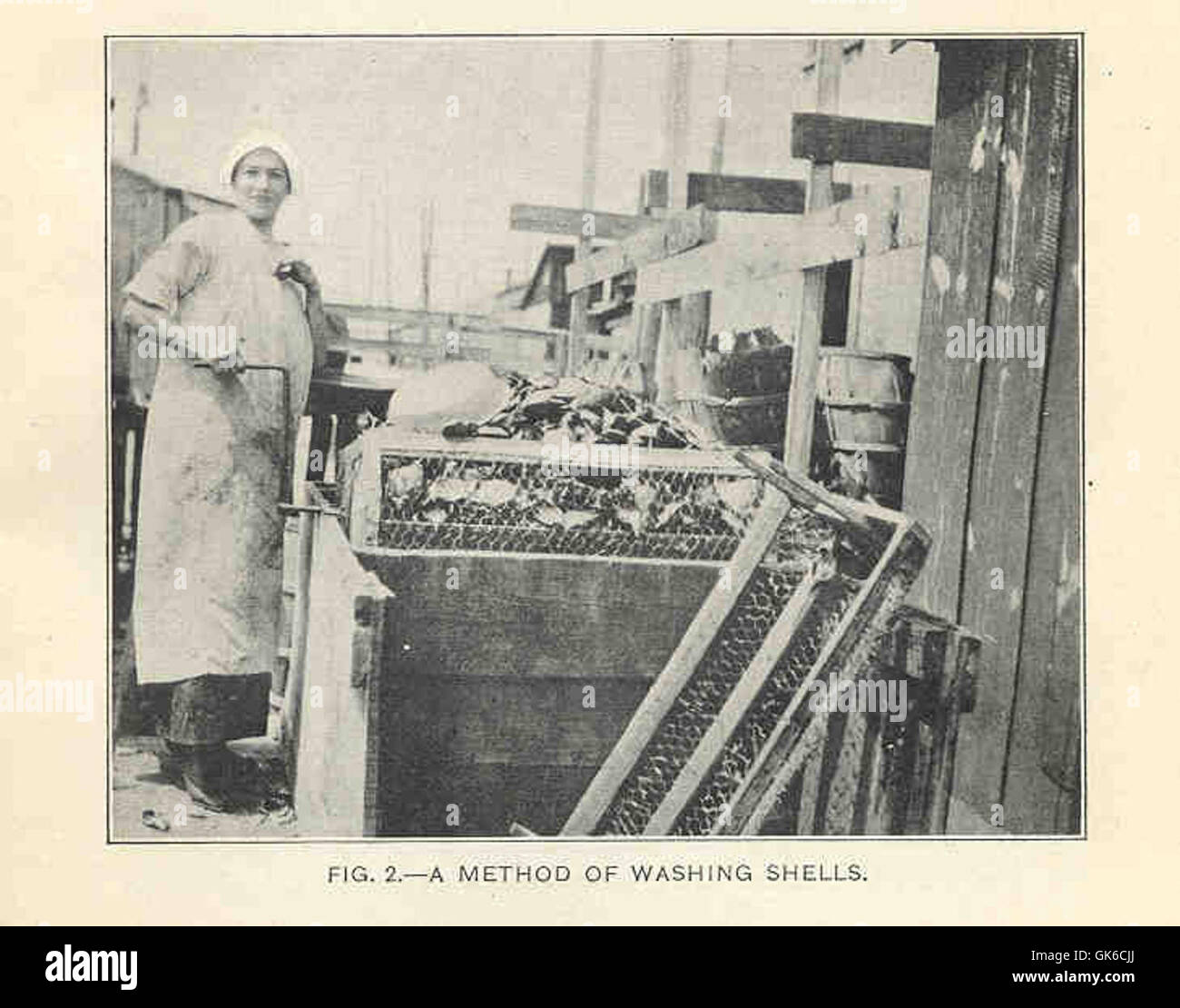 This method of washing shells is commonly used in the preparation of ...