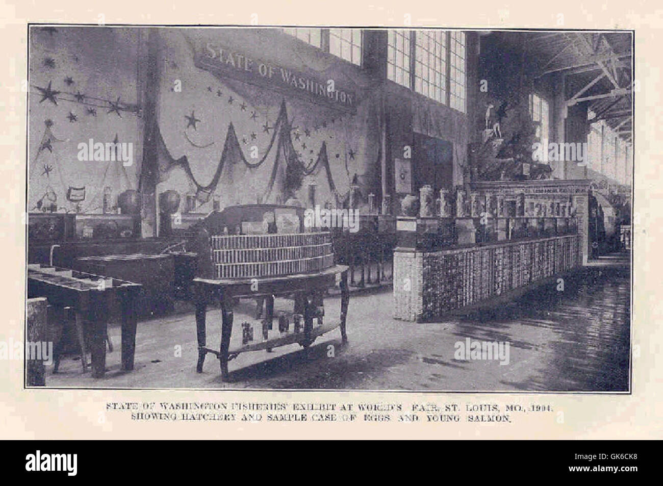 The State of Washington Fisheries' exhibit at the 1904 World's Fair in ...
