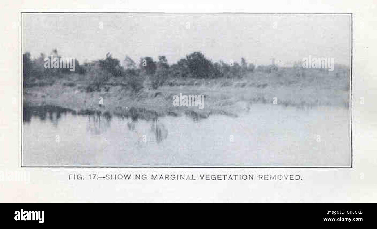 This image shows the removal of marginal vegetation from a water body ...