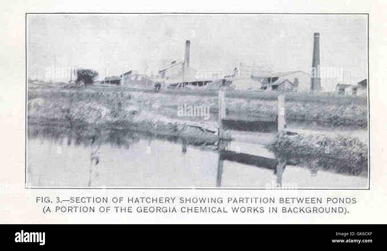 The section shows a hatchery with a partition separating different ...