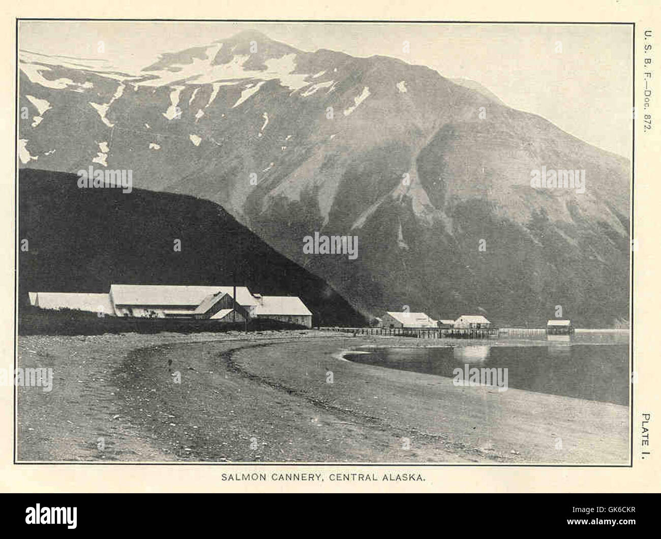 A salmon cannery in Central Alaska, showing the industrial process of ...