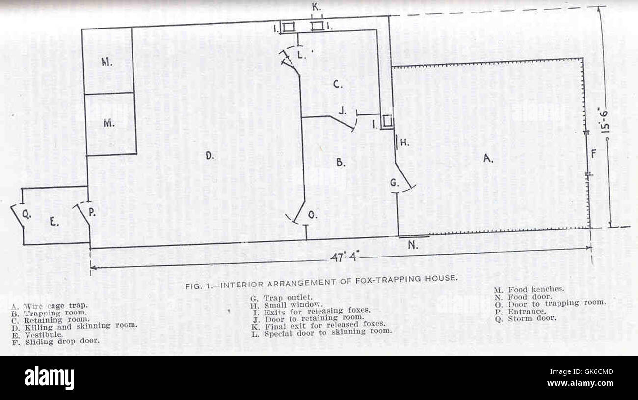 The interior layout of a fox-trapping house, designed to efficiently ...
