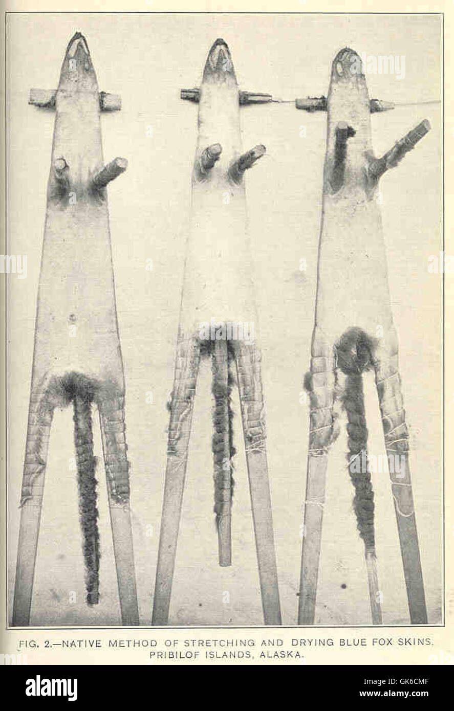 Stretching skins hi-res stock photography and images - Alamy
