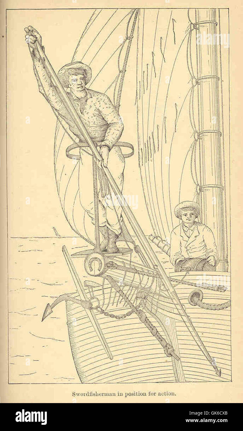 A swordfisherman is shown in position, preparing to catch a swordfish ...