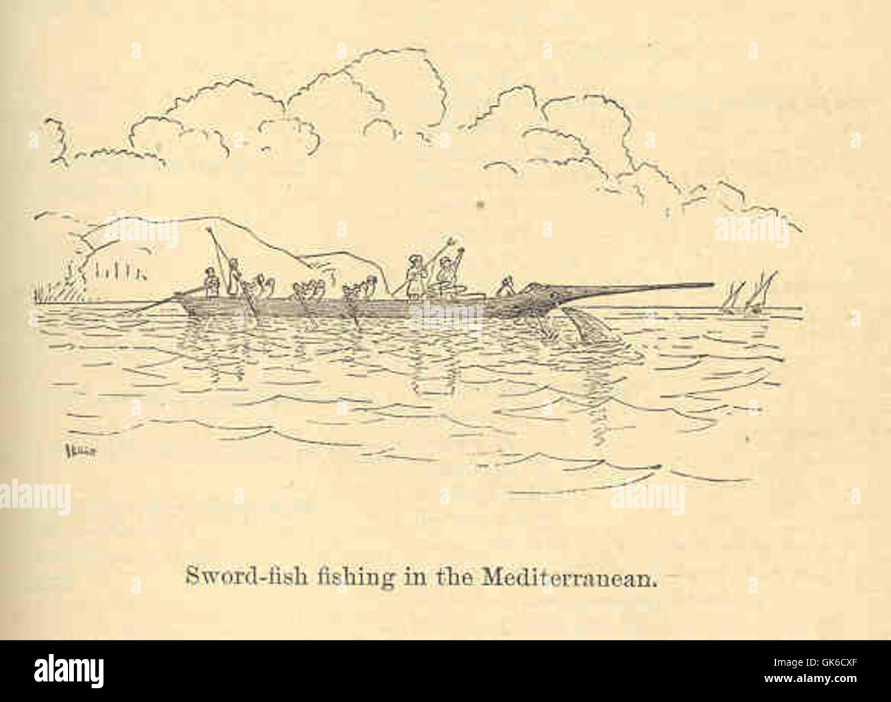 Swordfish fishing in the Mediterranean involves a traditional fishing ...