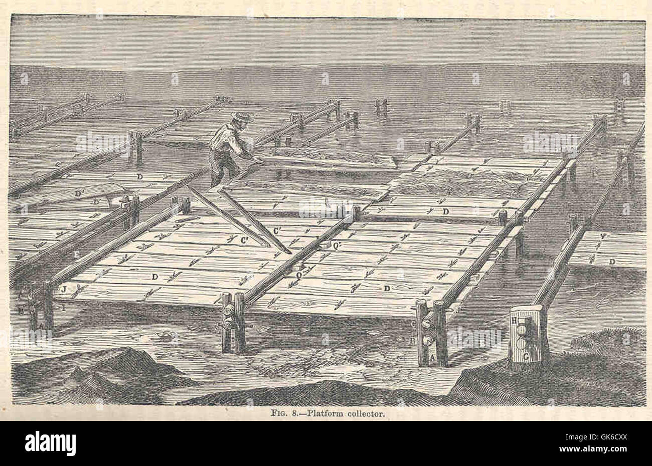 The platform collector, a device designed for collecting marine ...