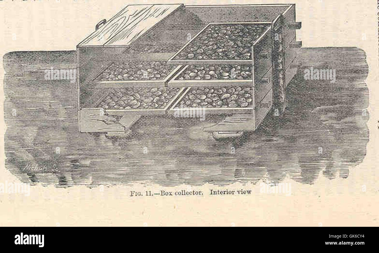The interior view of a box collector (ID 35200) used in industrial ...
