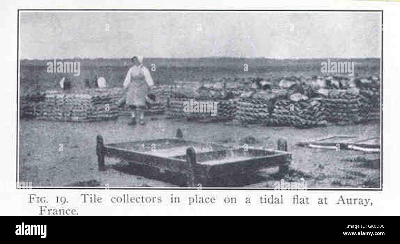 Auray france map hi-res stock photography and images - Alamy