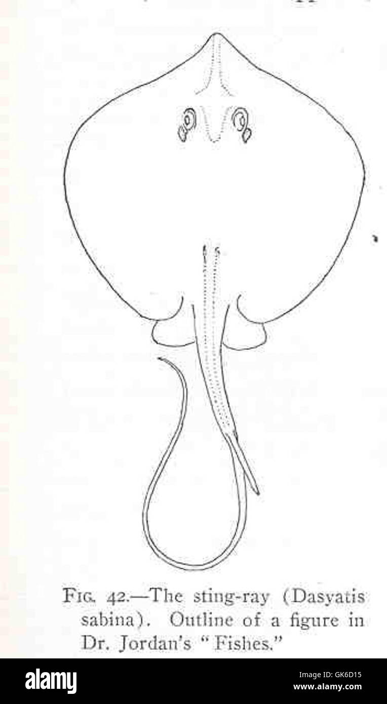 Sabina i hi-res stock photography and images - Alamy