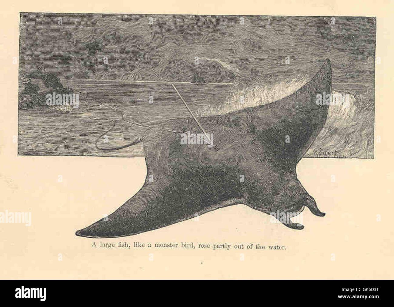 A large fish, resembling a monstrous bird, is observed partially ...