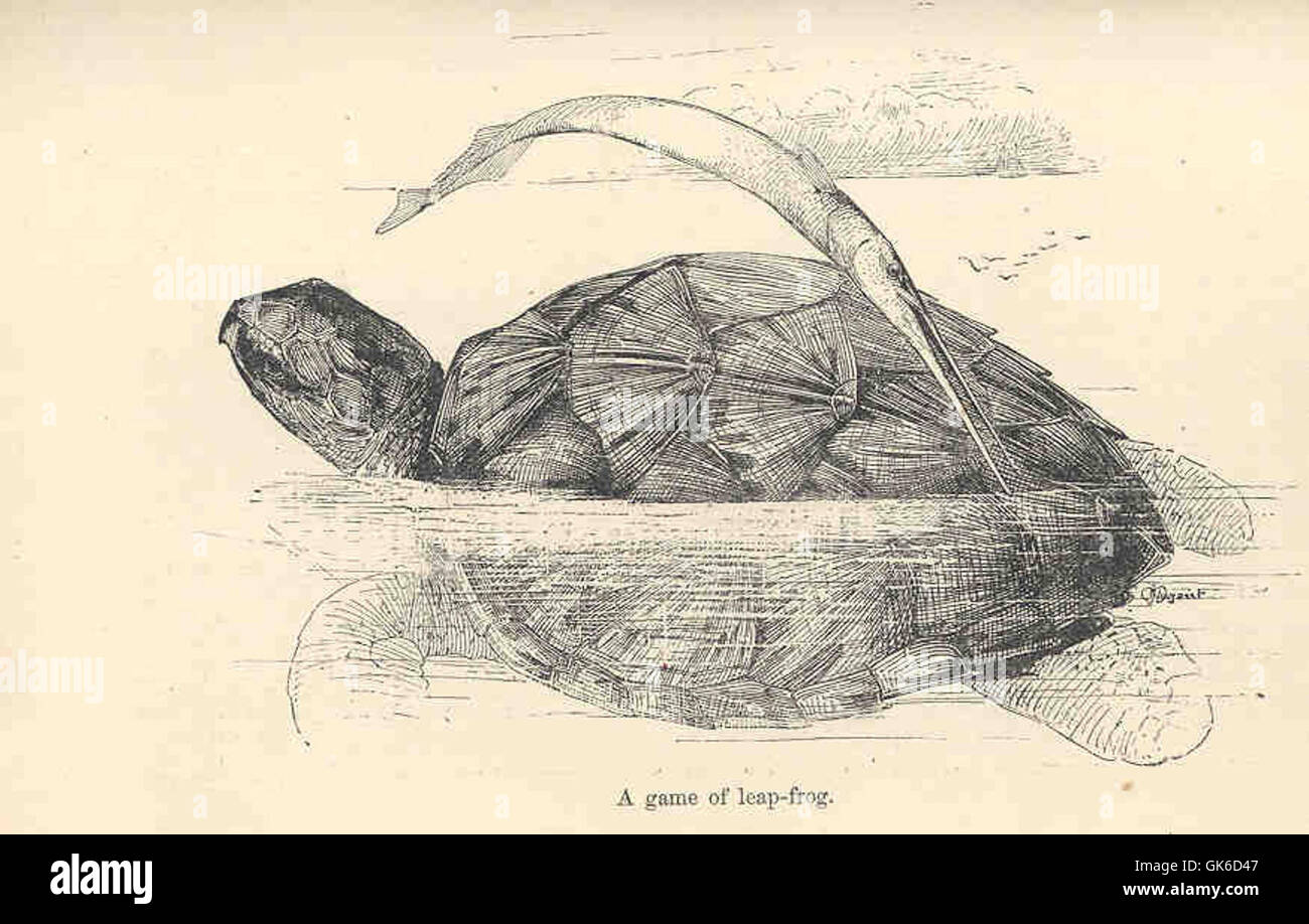 This title refers to a traditional game of leap-frog, commonly played ...