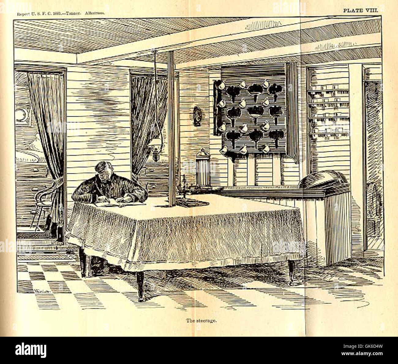 An image of the steerage section aboard the ship 'Albatross,' showing ...