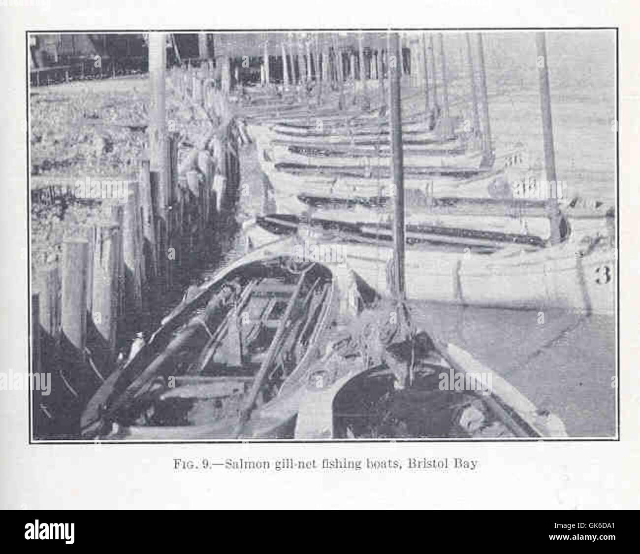 Salmon gill-net fishing boats operating in Bristol Bay, a major ...