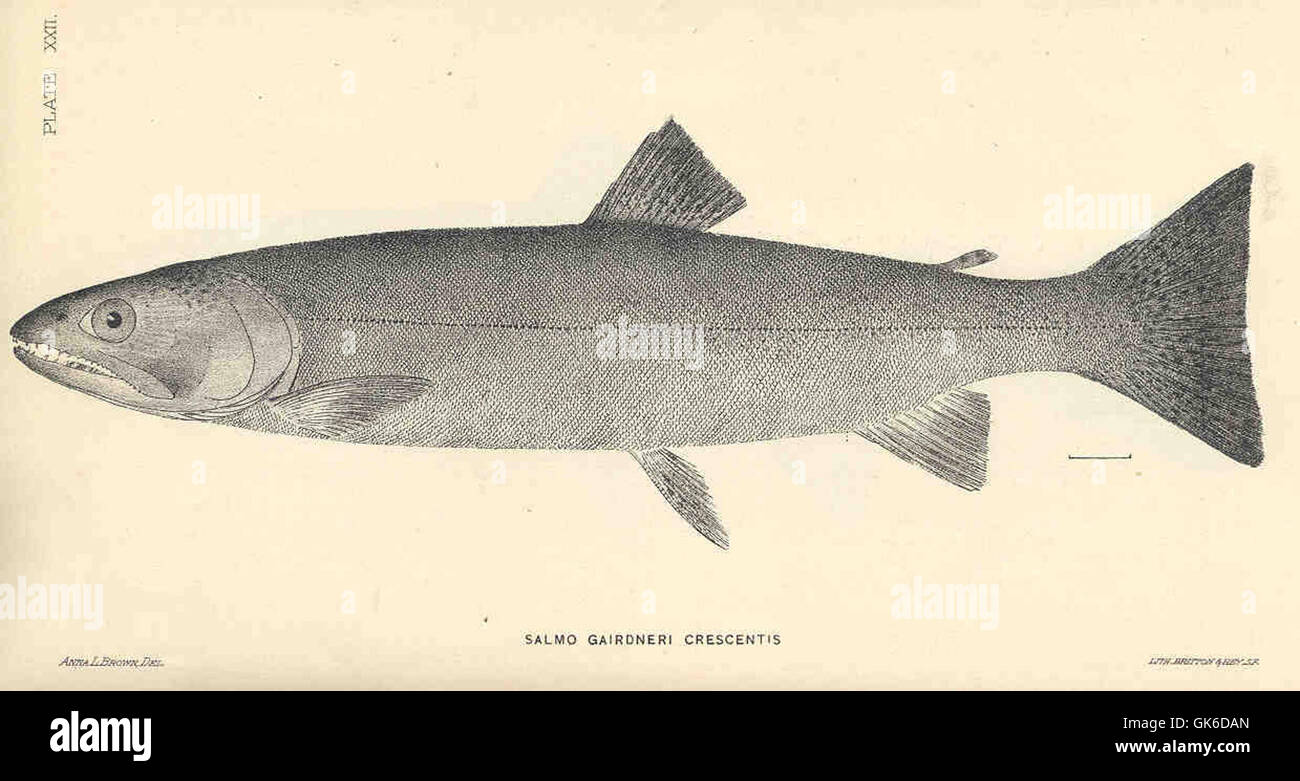 Map of salmo hi-res stock photography and images - Alamy