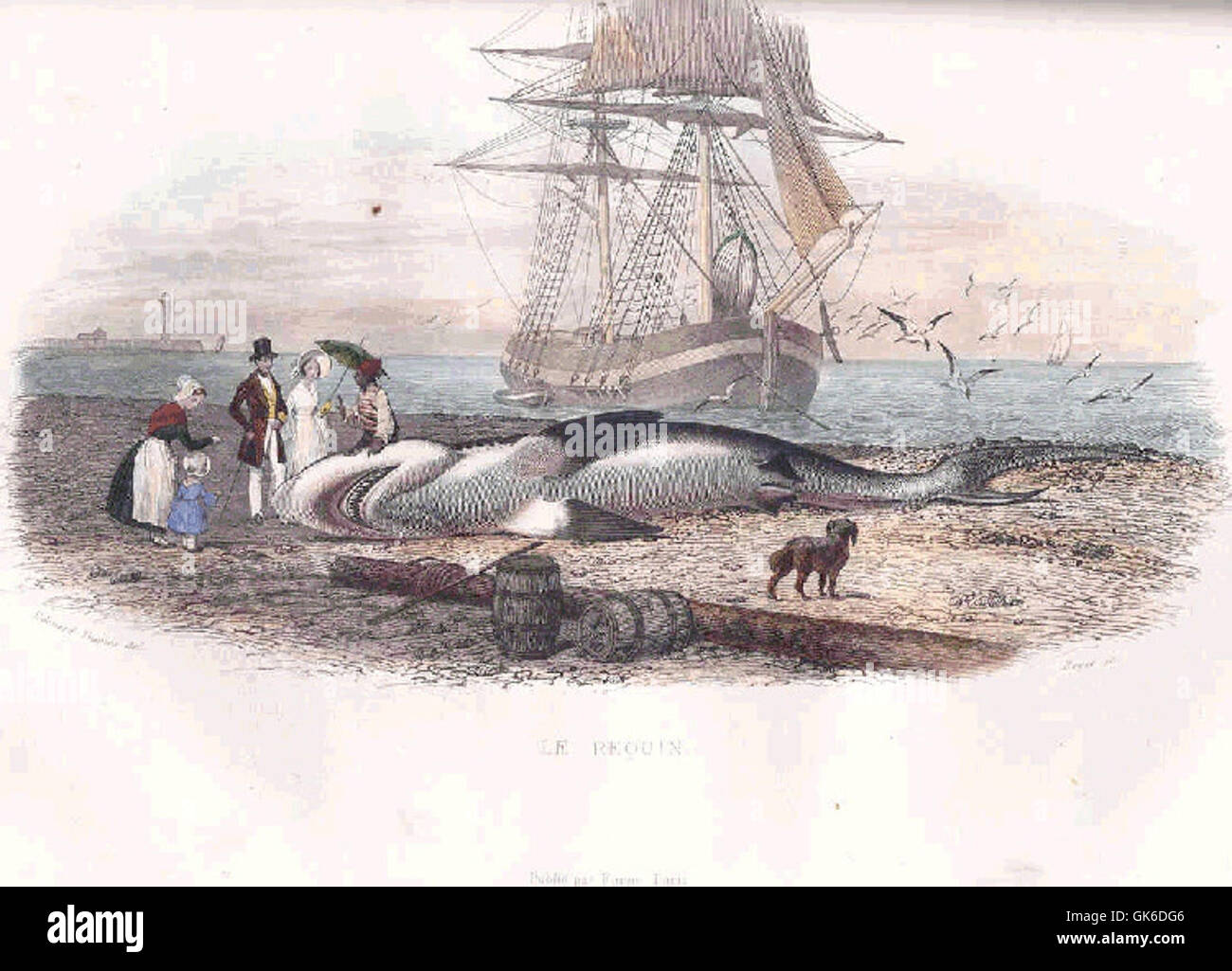 Le Requin, a French ship known for its role in maritime history ...