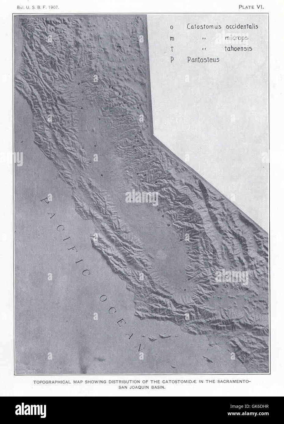 This topographical map shows the distribution of the Catostomidae ...