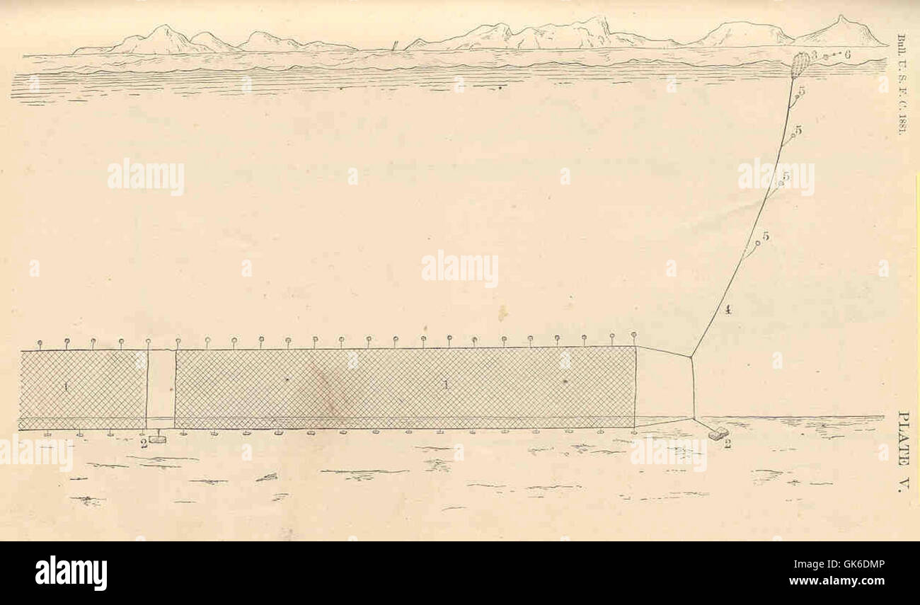 The Norwegian method of bottom-netting involves using weighted nets to ...