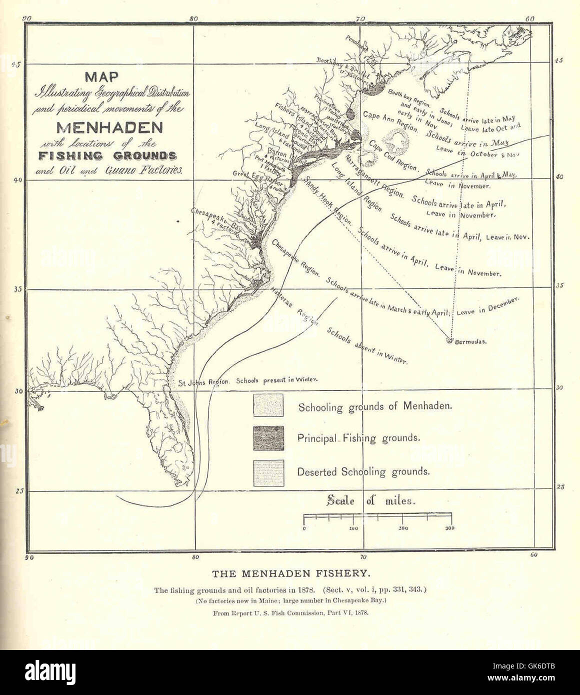 The menhaden fishery involves the harvesting of menhaden fish, which ...