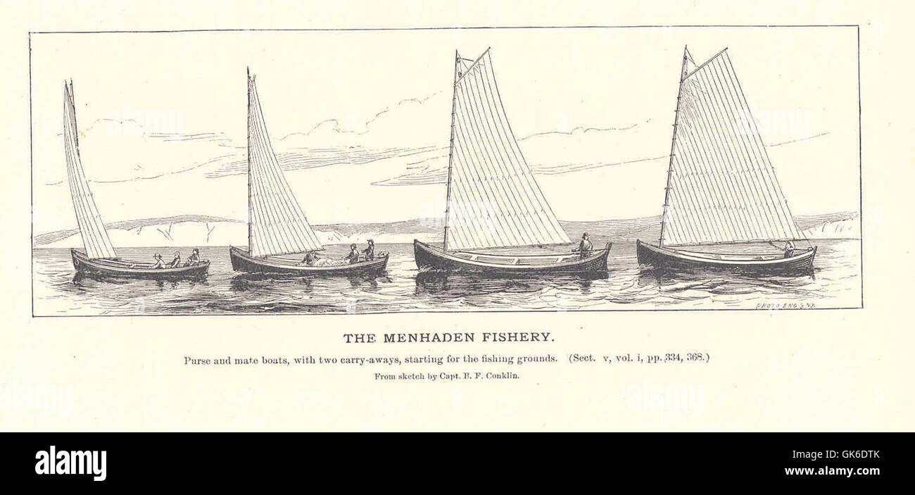 The menhaden fishery targets the harvesting of menhaden, a key species ...