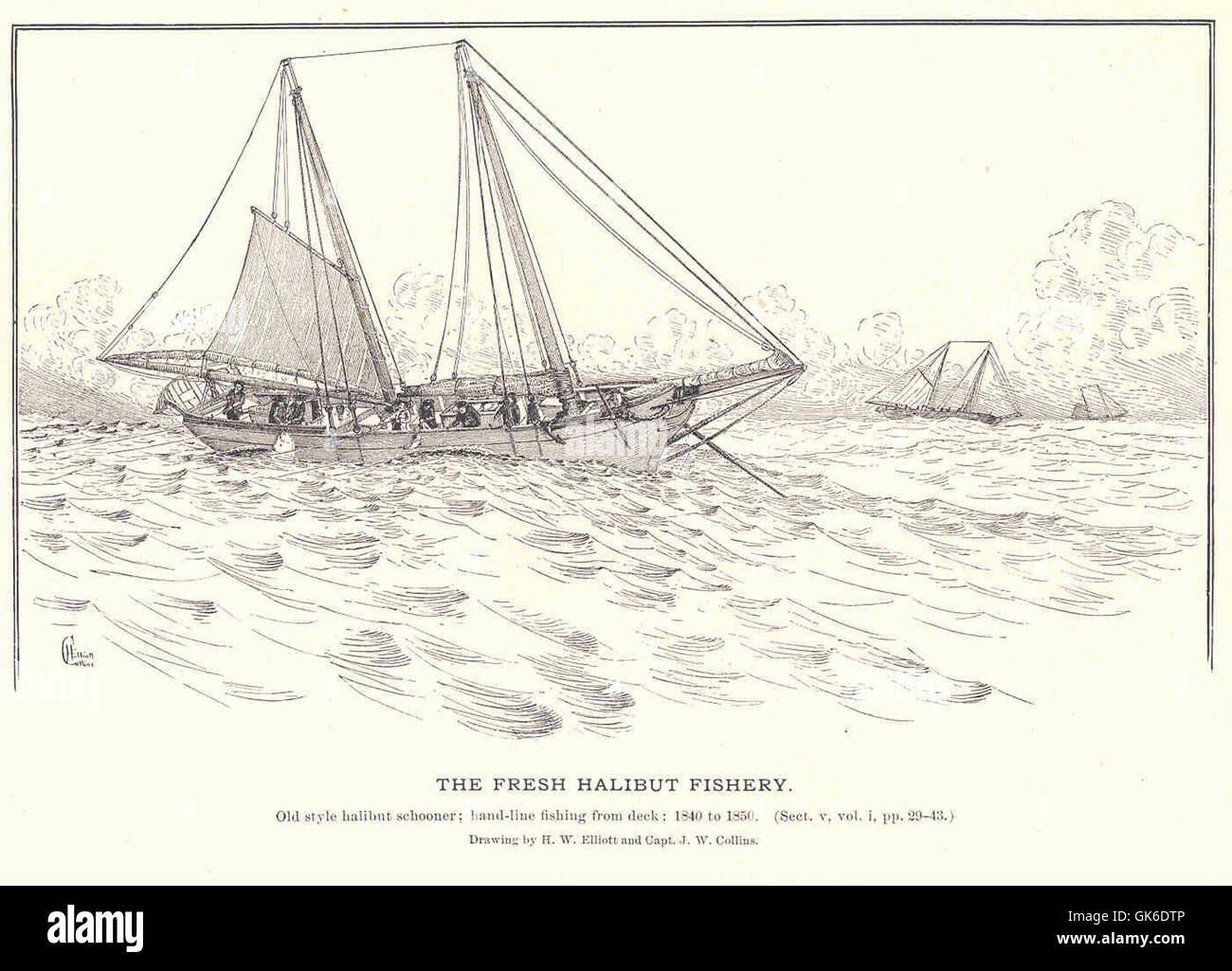 Drawing halibut hi-res stock photography and images - Alamy