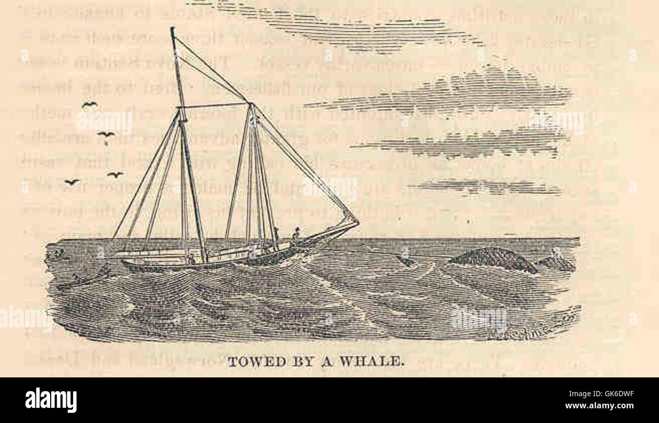 The aircraft with registration number 35832 being towed by a whale ...