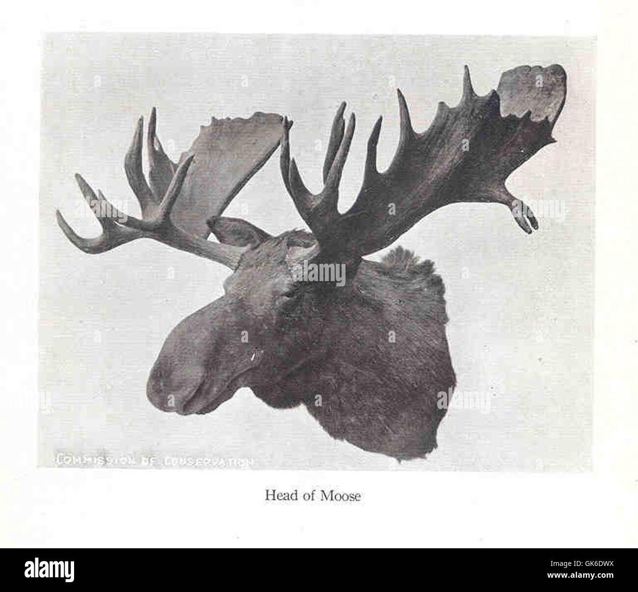 Cold regions Cut Out Stock Images & Pictures - Alamy