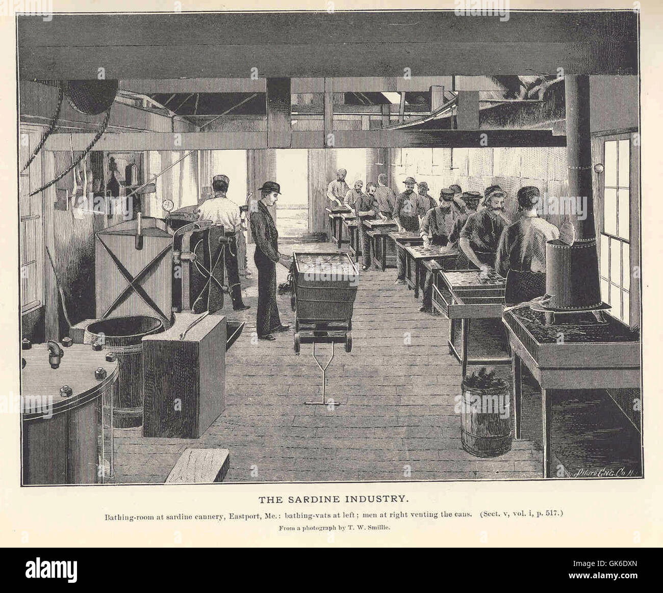 An image showing the sardine industry, including the processing and ...