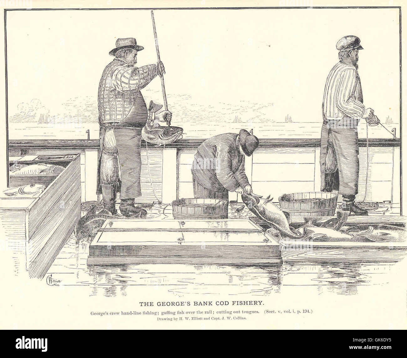 35871 George's Bank Cod Fishery Stock Photo - Alamy