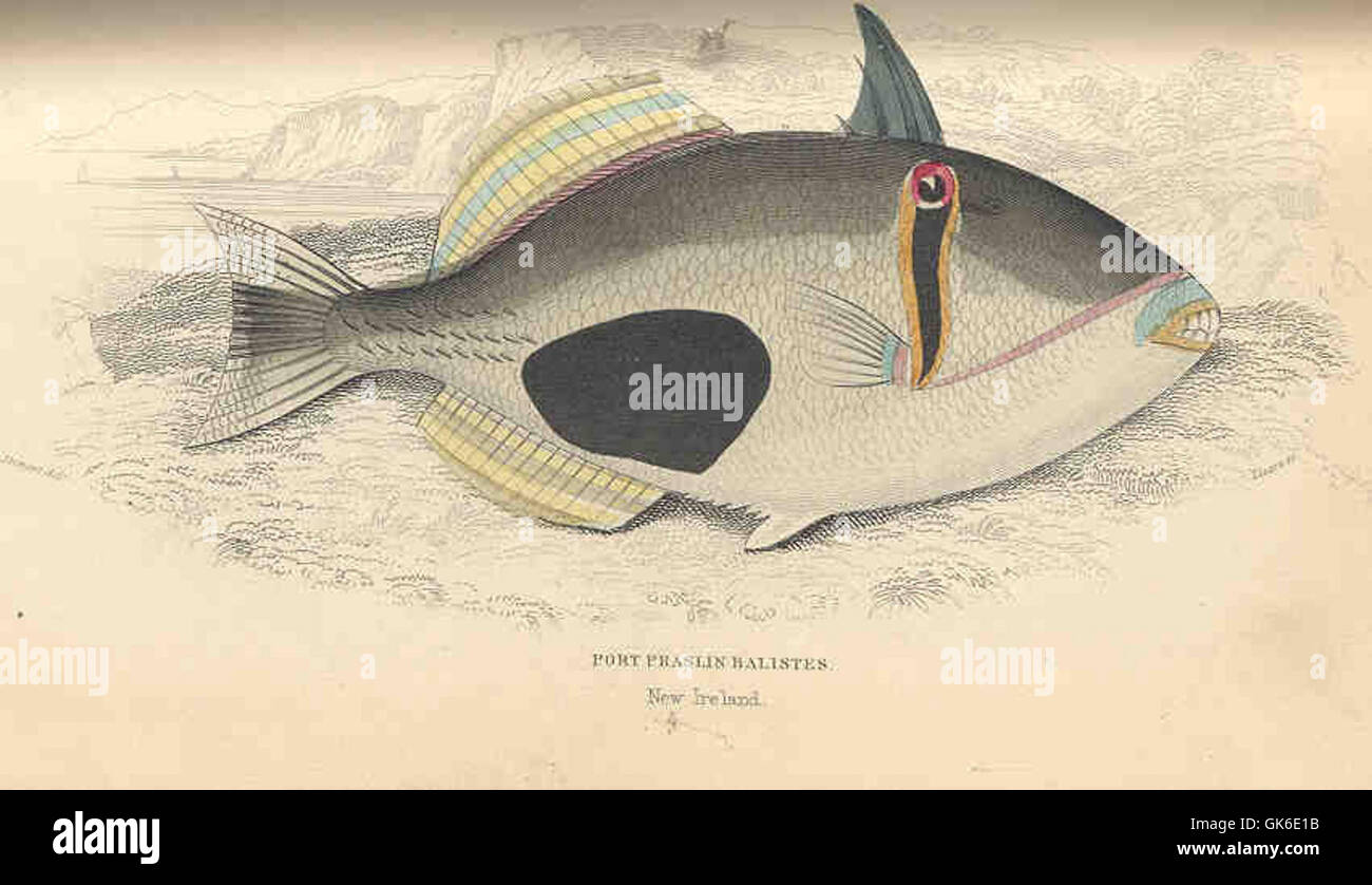 Praslin map hi-res stock photography and images - Alamy