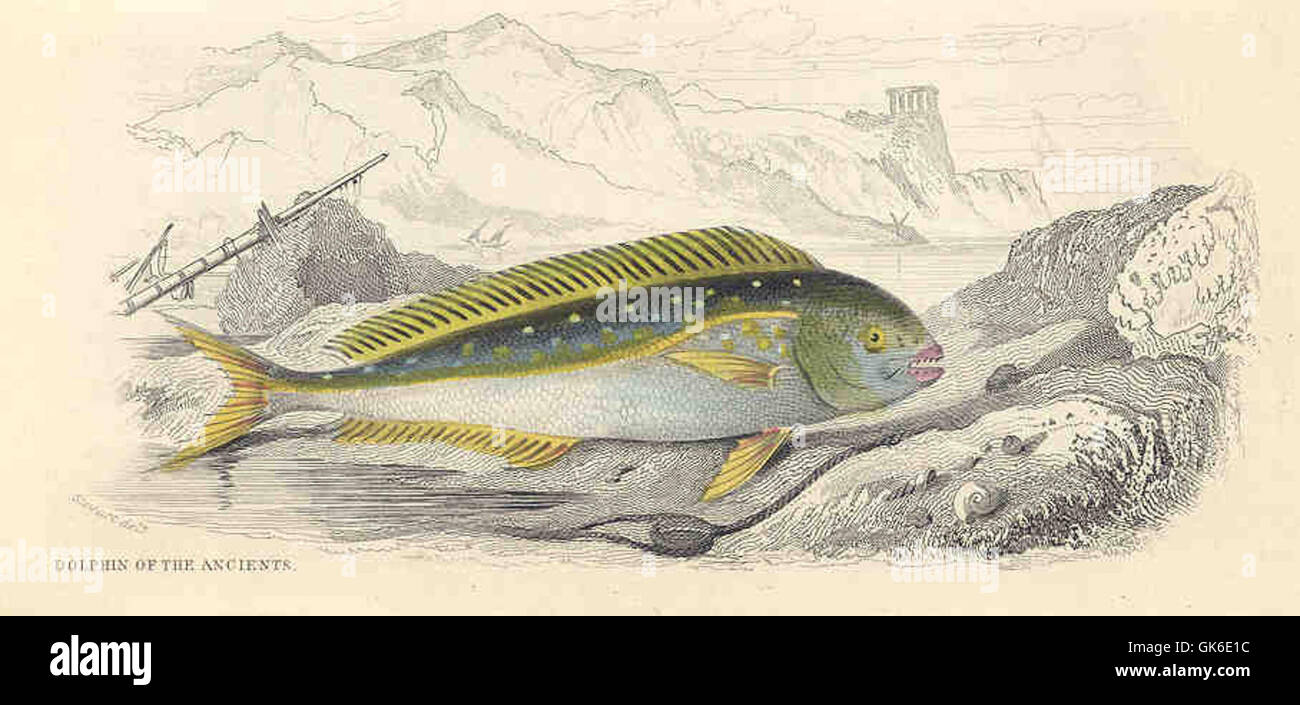 Dolphin ancient hi-res stock photography and images - Alamy